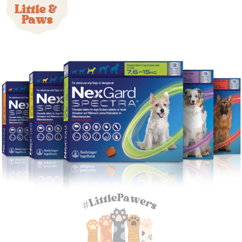 Jual Nexgard Spectra Puppy Dog Fleas Obat Kutu Cacing Worm Demodex ...