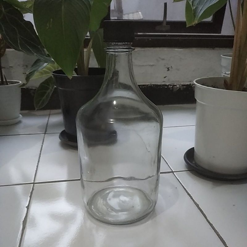 Jual Botol Kaca Antik 2 liter sentengah | Shopee Indonesia