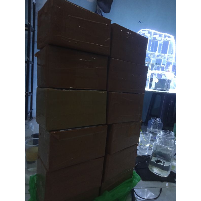 Jual paket stiker cupang | Shopee Indonesia