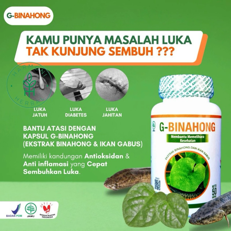 Jual G-BINAHONG KAPSUL EKSTRAK IKAN GABUS PLUS DAUN BINAHONG ATASI BERBAGAI JENIS LUKA | Shopee ...
