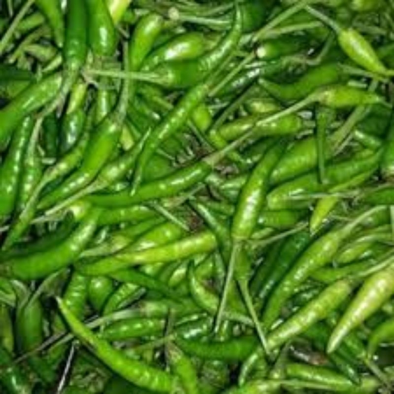 Jual Cabe rawit hijau 1kg harga grosir | Shopee Indonesia