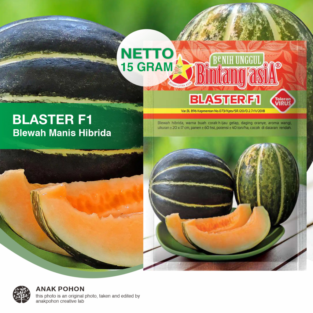 Jual (1 PACK) Benih Buah Blewah Blaster F1 Hibrida Aroma Wangi Tahan ...