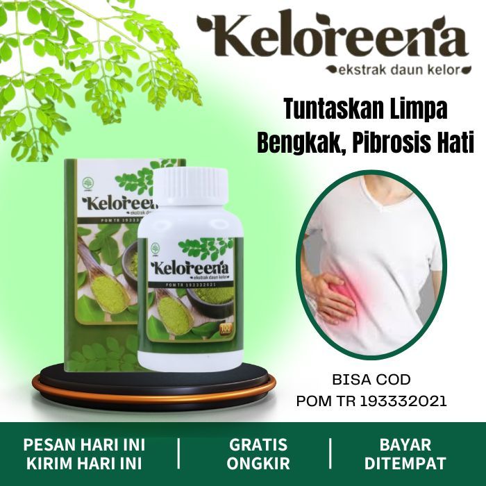 Jual Obat Limpa Bengkak, Fibrosis Hati, Kanker Limpa, Pembengkakan Hati ...