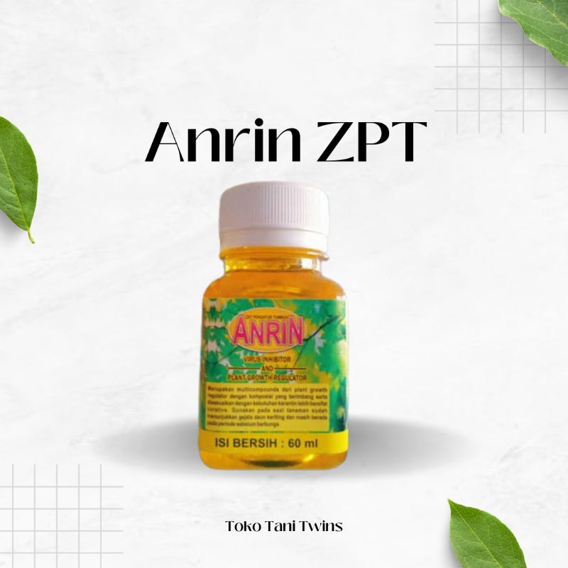 Jual ANRIN 60ML ZPT | Shopee Indonesia