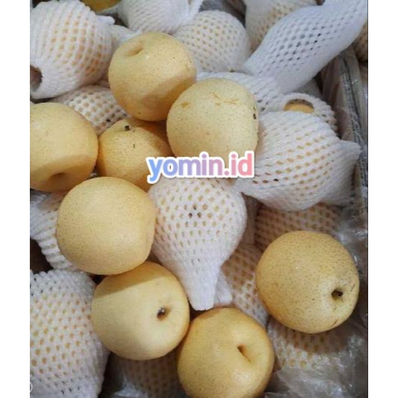 Jual Buah Pear/ Pir Century 1 kg | Shopee Indonesia