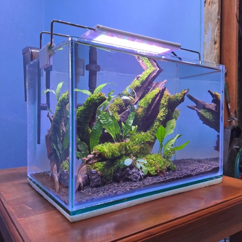 Jual aquascape paket komplit 30x20x20 | Shopee Indonesia