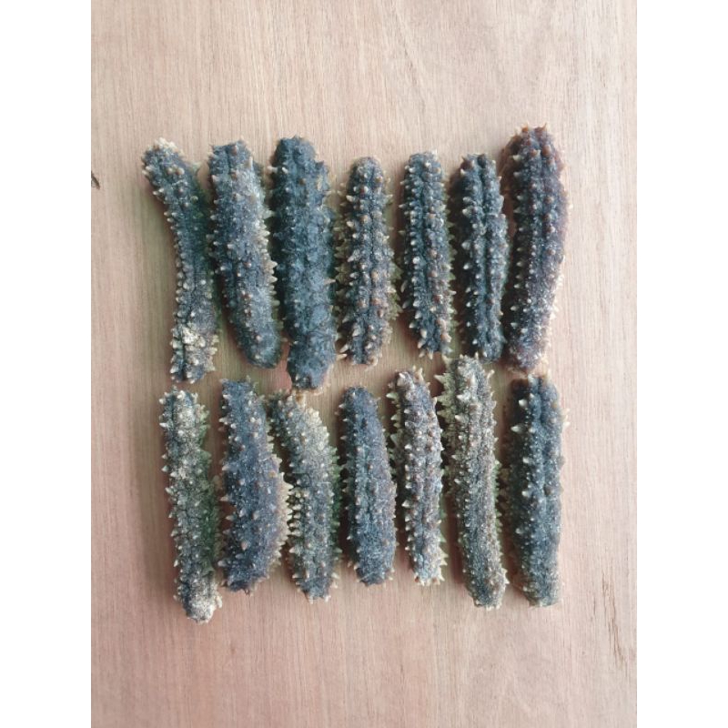 Jual Haisom ( Teripang ) Duri kualitas SUPER 100 gr isi 8-10 pcs ...