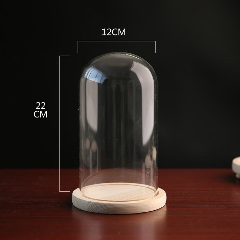 Jual [06003] 12x22 cm Glass Dome , Classic Flower Glass Dome Alas Kayu ...