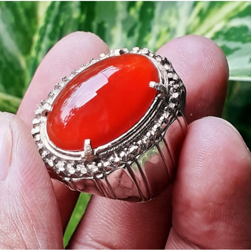 Jual Batu Red Raflesia super kualitas top HQ | Shopee Indonesia