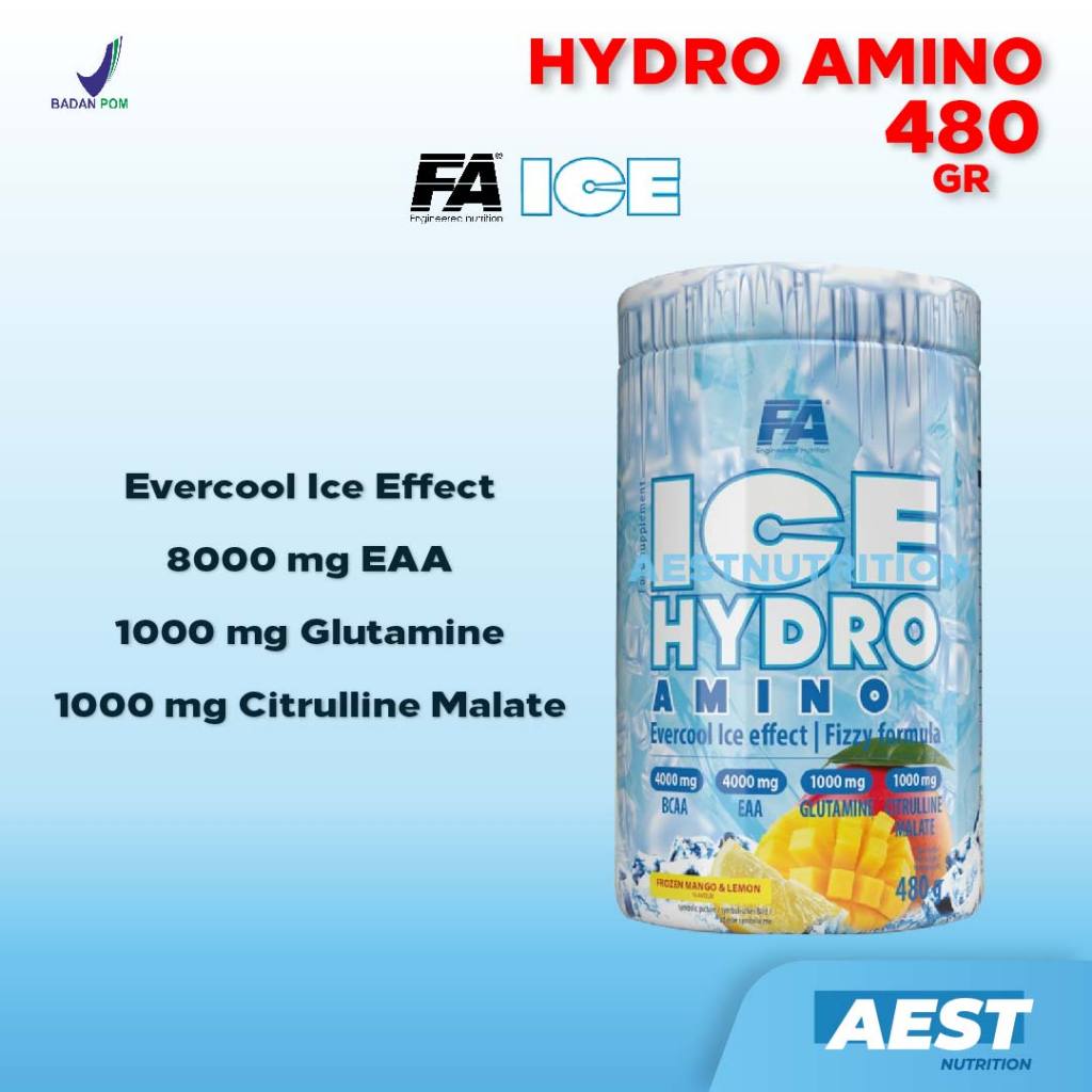 Jual FA ICE Hydro Amino EAA Amino 480 gram | Shopee Indonesia