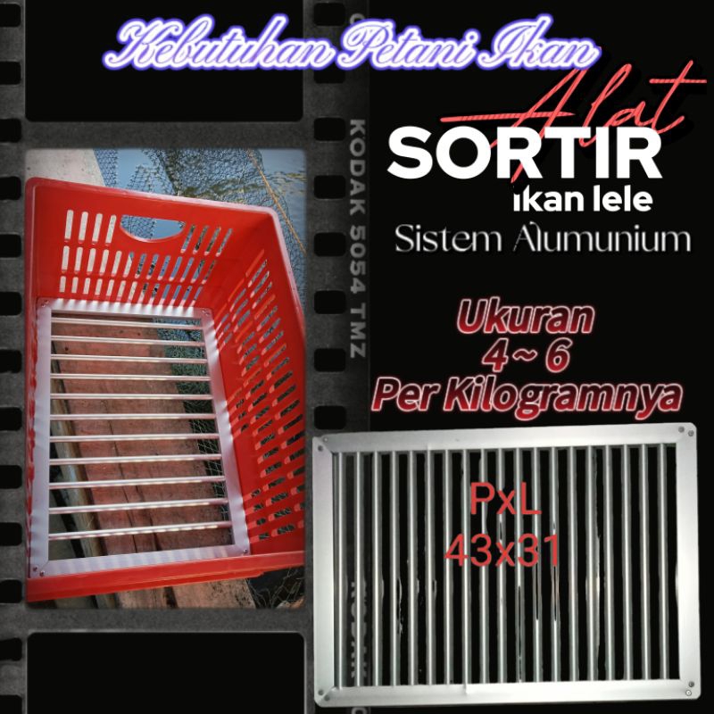 Jual Alat sortir ikan lele sistem ALUMUNIUM ukuran 4~6/kg | Shopee Indonesia