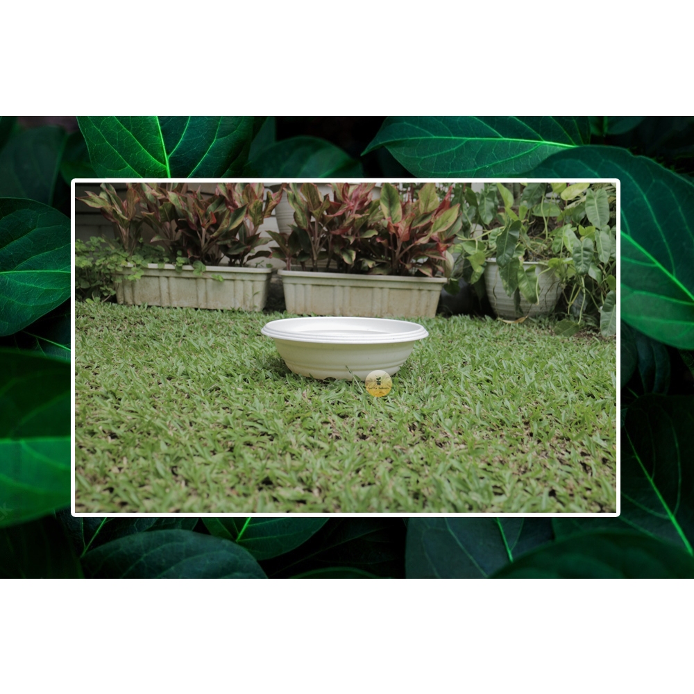 Jual [TANPA MINIMAL ORDER] (1 pc) Pot Bonsai Ceper 25 Pot Tanaman ...