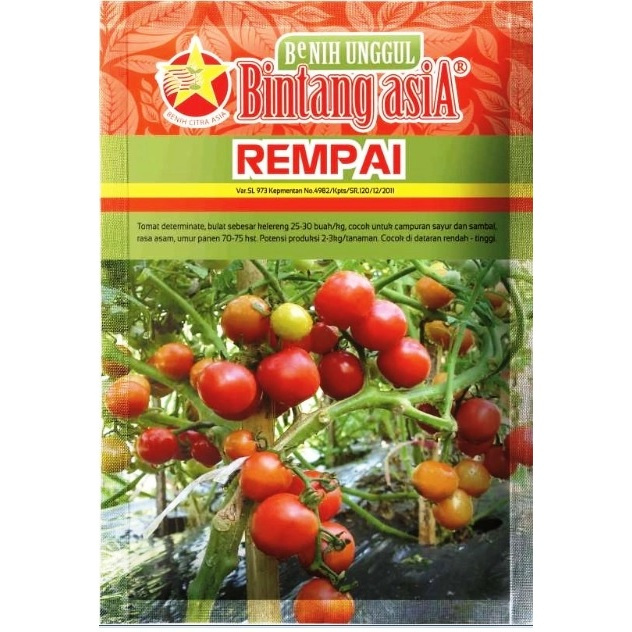 Jual Benih Bibit Tomat Rempai Rampai 10gr / BCA | Shopee Indonesia