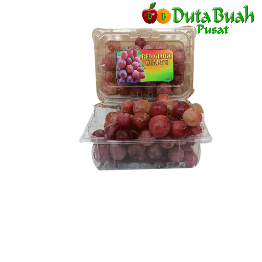 Jual DUTA BUAH ANGGUR RED GLOBE AUSTRALIA (±800g) | Shopee Indonesia
