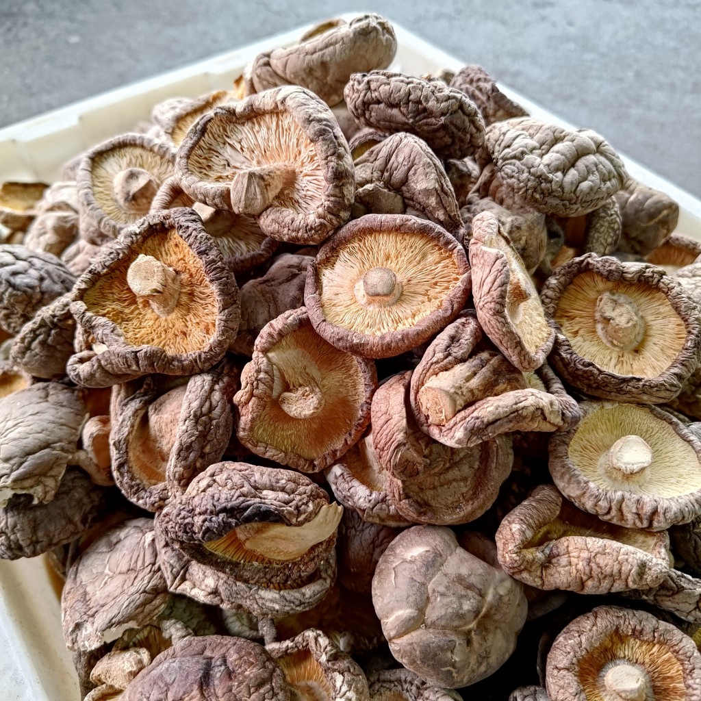Jual Jamur Shitake Kering 100gr / Hioko Hiongku Xiang Gu Dried Shitake ...