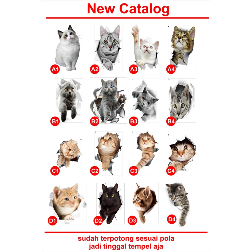 Jual Stiker Kucing Lucu 3D seperti nyata Sticker dinding tembok ...