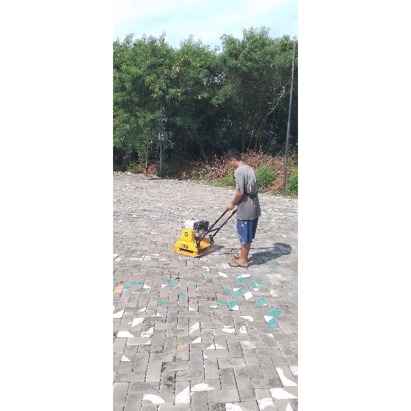 Jual BABY ROLLER SENSO JACKHAMMER STAMPER KODOK KUDA | Shopee Indonesia