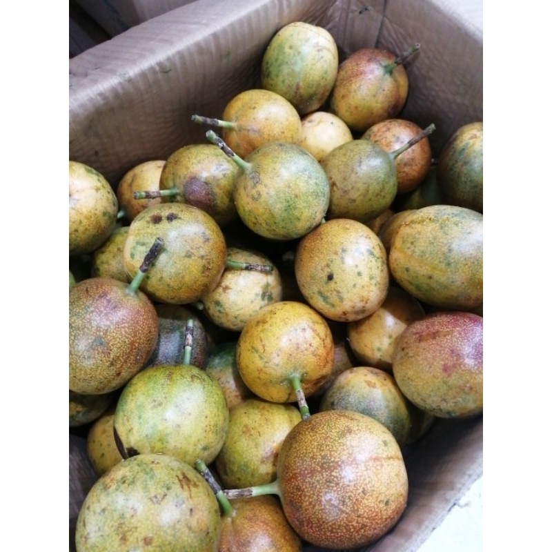 Jual Markisa Konyal Madu | Shopee Indonesia