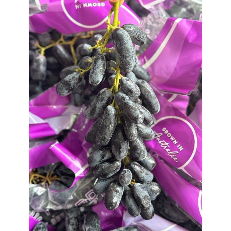 Jual ANGGUR AUS MOON DROP 1 kg | Shopee Indonesia