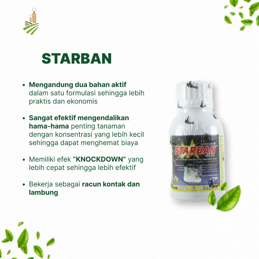 Jual Pembasmi Hama Ulat | Starban Insektisida Kontak dan Lambung - 100 ...