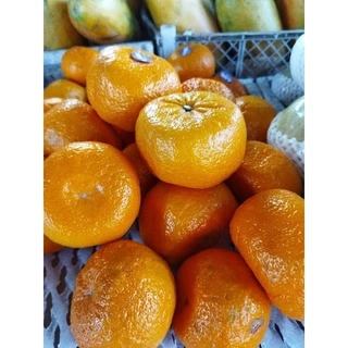 Jual Jeruk Ponkam Terlengkap & Harga Terbaru Oktober 2025 | Shopee ...