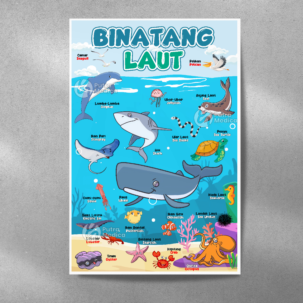 Jual Poster Binatang Laut A3+ / Gambar Edukasi Anak Anak / Mengenal ...