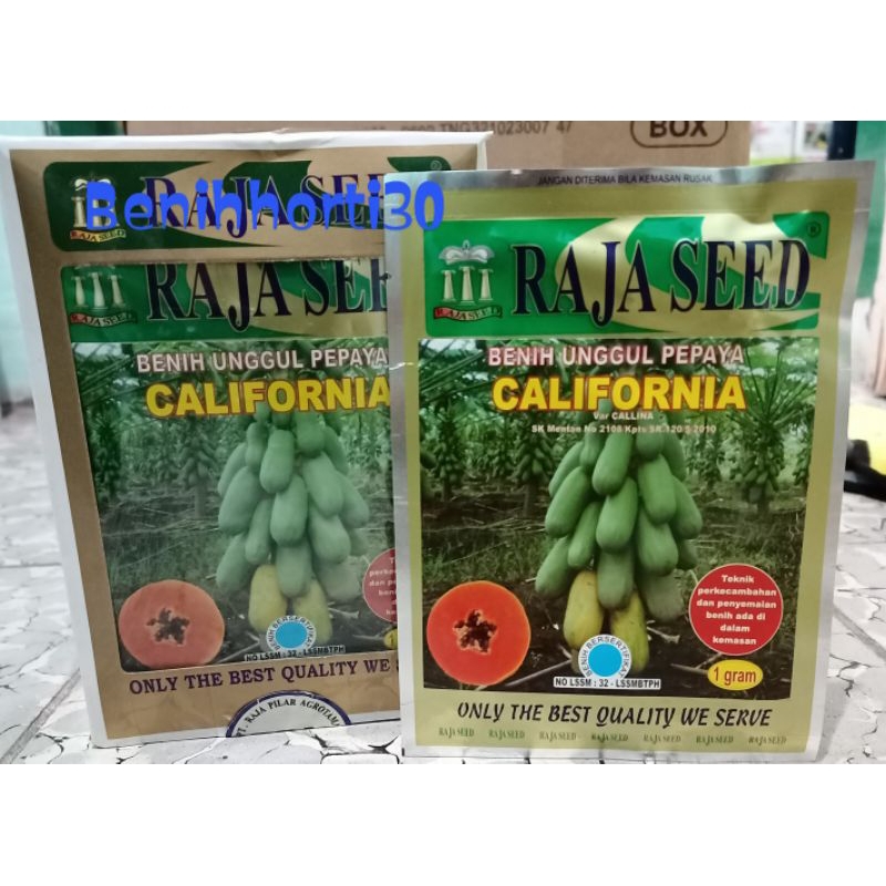 Jual Benih Pepaya California Raja Seed isi 60 butir | Shopee Indonesia