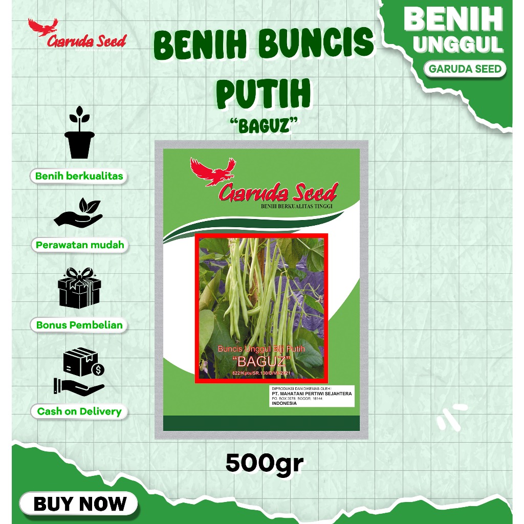 Jual Benih Bibit Buncis Putih Unggul Baguz 500 Gram Garuda Seed ...