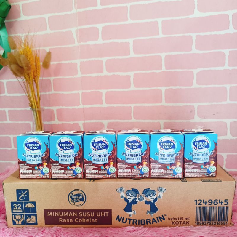 Jual Frisian Flag Nutribrain Omega susu UHT chocolate115mlx36pcs | Shopee Indonesia