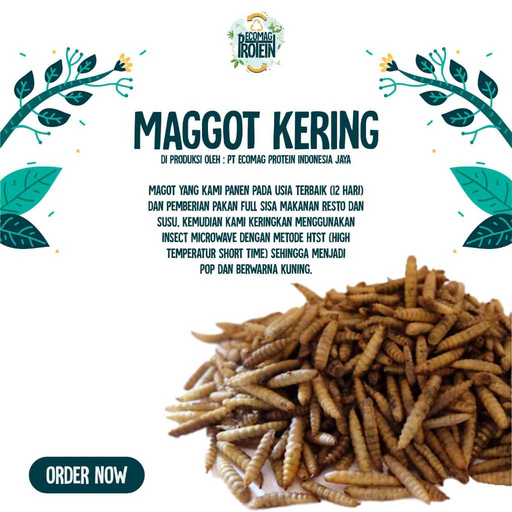 Jual Pupuk Kasgot Murni - Pupuk organik PREMIUM | Shopee Indonesia