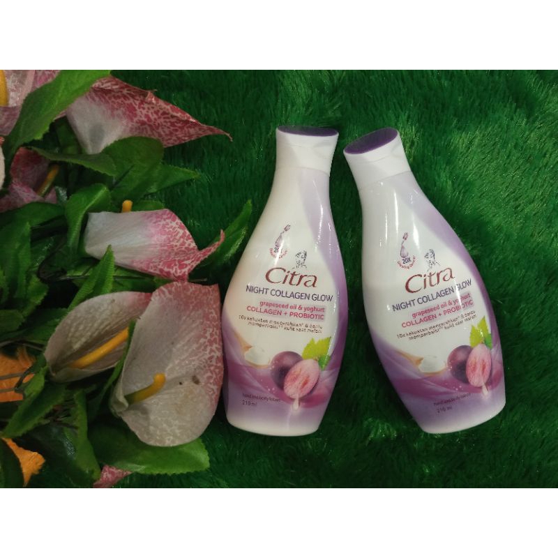 Jual CITRA NIGHT COLLAGEN GLOW GRAPESEED OIL & YOGURT COLLAGEN ...