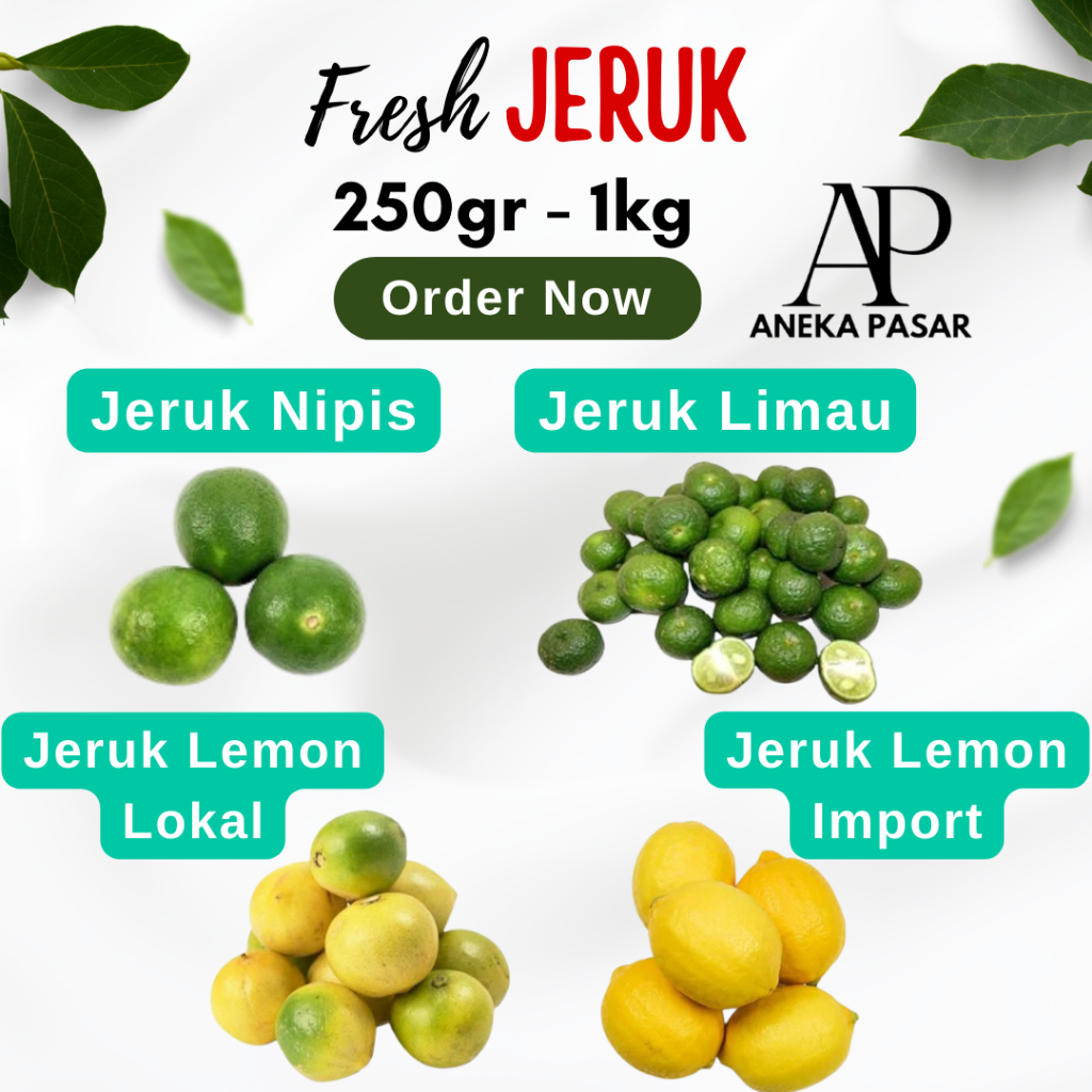 Jual Jeruk Nipis / Jeruk Limau / Jeruk Lemon Lokal Import Surabaya ...