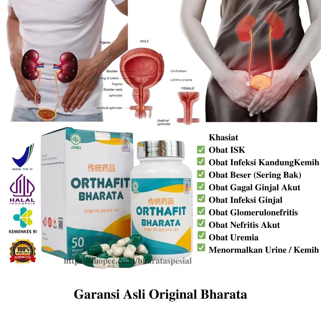 Jual Obat Infeksi Saluran Kencing, Gagal Ginjal dan Infeksi Kandung Kemih ORTHAFIT BHARATA ...