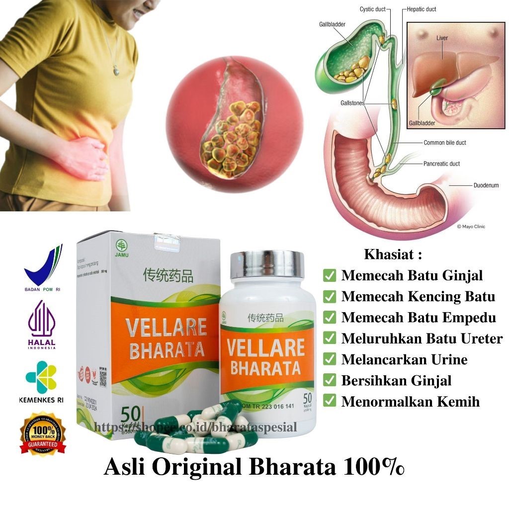 Jual Vellare Bharata - Obat Penghancur Batu Empedu Batu Ginjal Kencing Batu & Obat Ginjal ...