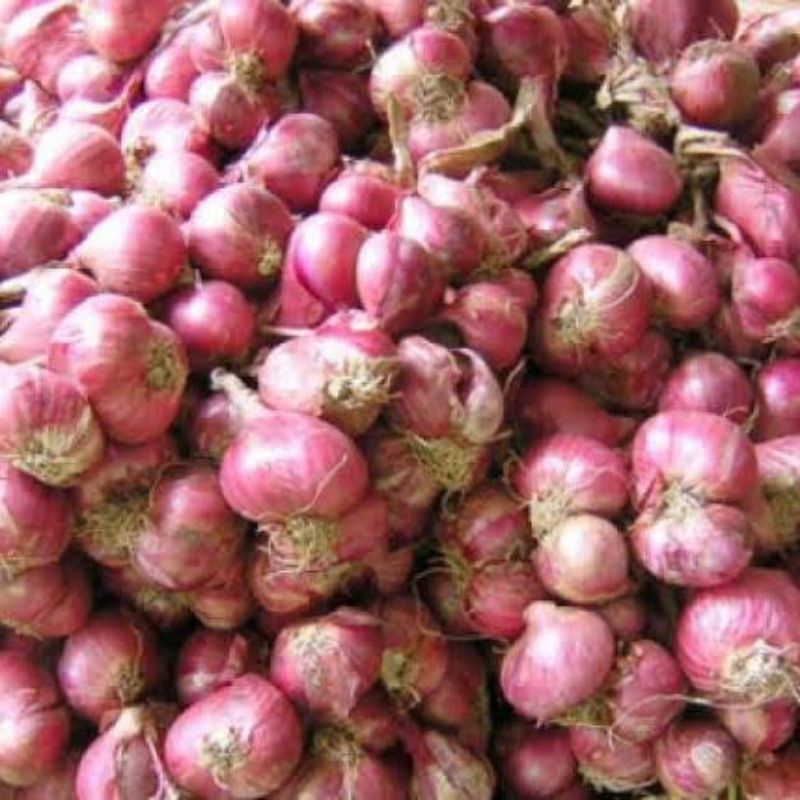 Jual BAWANG MERAH SUPER, BAWANG MERAH 1KG, BAWANG MERAH BESAR, BAWANG ...