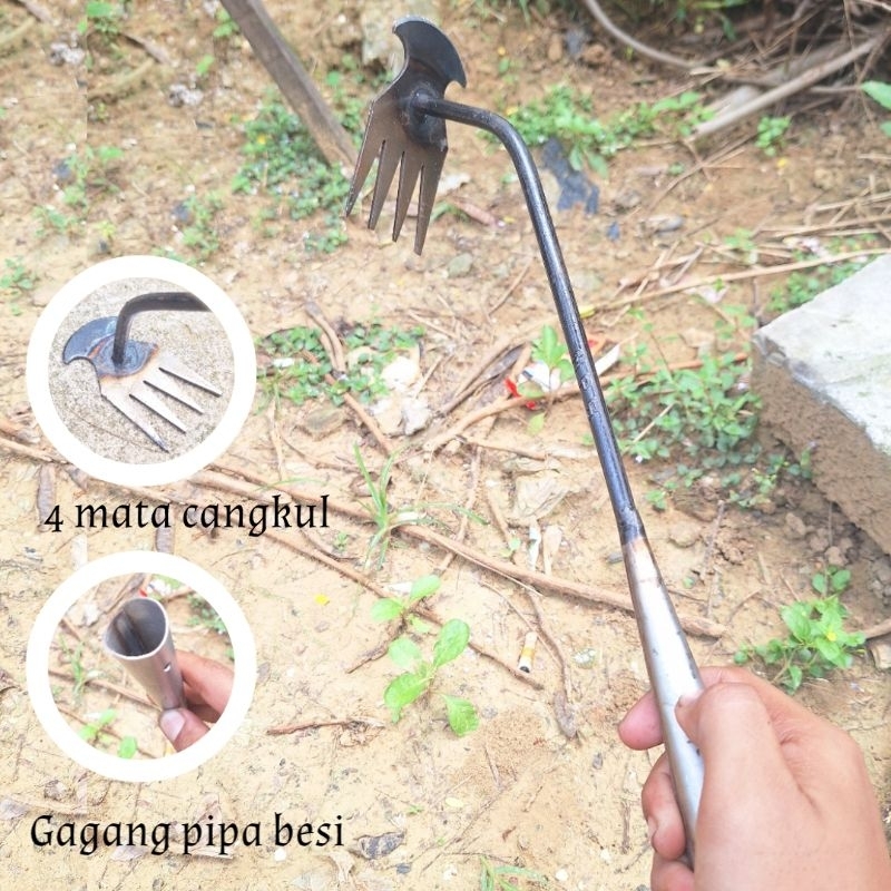 Jual Alat pencabut rumput liar wedding garu - cangkul rumput halaman ...