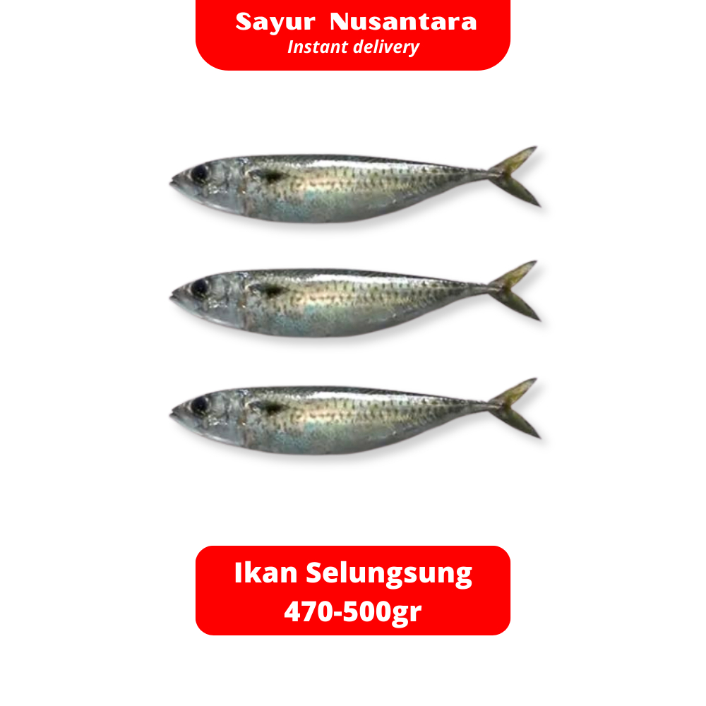 Jual Ikan Selungsung Fresh Frozen 470-500gr - Sayur Nusantara | Shopee ...