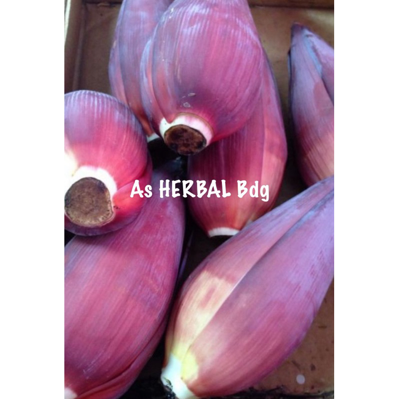 Jual Jantung pisang raja segar 1 kg petik langsung | Shopee Indonesia