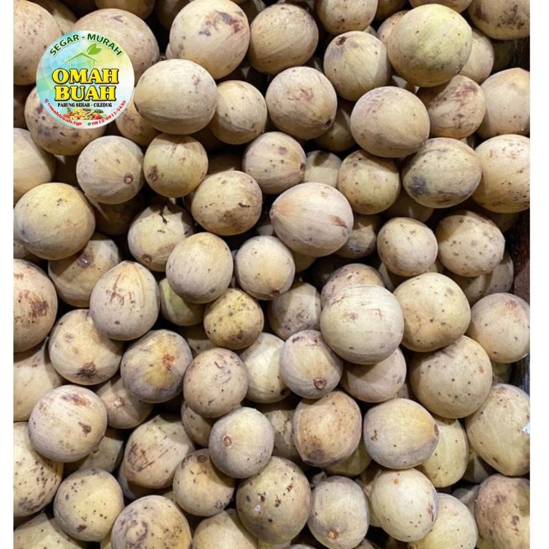 Jual Buah Duku Palembang Lampung Segar | Shopee Indonesia