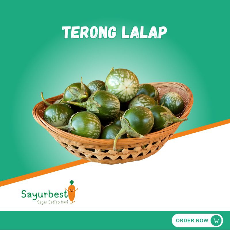 Jual Terong Lalap 100gram | Shopee Indonesia