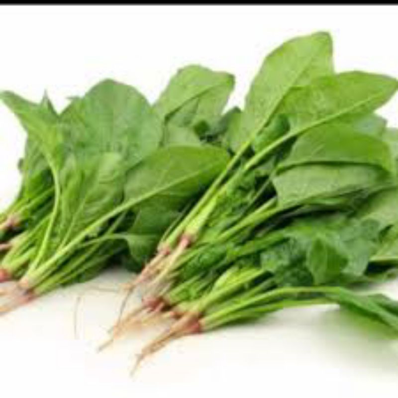 Jual Sayur peleng 1 kg | Shopee Indonesia