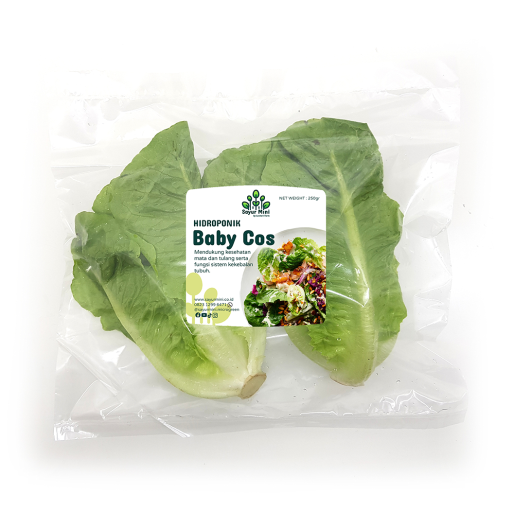 Jual SAYUR MINI Hidroponik Baby Romaine 250gr - Baby Cos - Fresh Cut ...