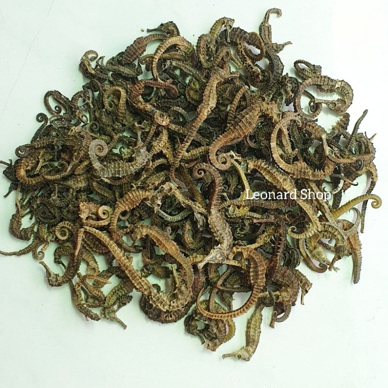 Jual KL HAI MA ( BS ) 10 GRAM KERING SUPER HERBAL OBAT KESUBURAN PRIA ...