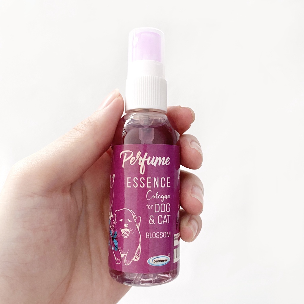 Jual Termurah Perfume Essence Cologne for Cat Dog/Pet - Parfum Anjing ...