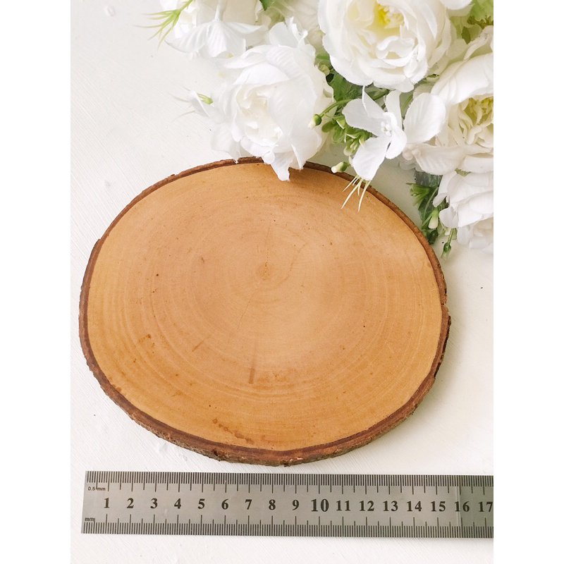 Jual Wood Slice Rustic 15-18cm | Tatakan kayu | Potongan kayu | Telenan ...
