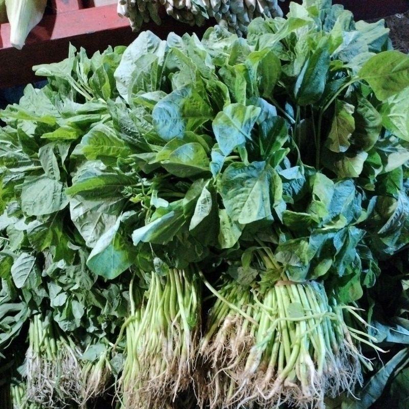 Jual Bayam (1 ikat) | Shopee Indonesia