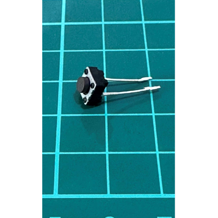 Jual TACT SWITCH 2 PIN 6X6X5MM | Shopee Indonesia