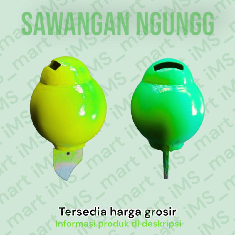 Jual (Ekor) sawangan merpati bunyi ngung (nyamplung) | Shopee Indonesia