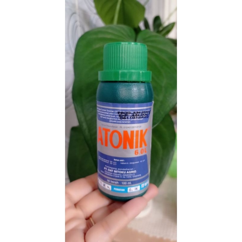 Jual Zpt hormon ATONIK 6.0L kemasan 100 ml | Shopee Indonesia
