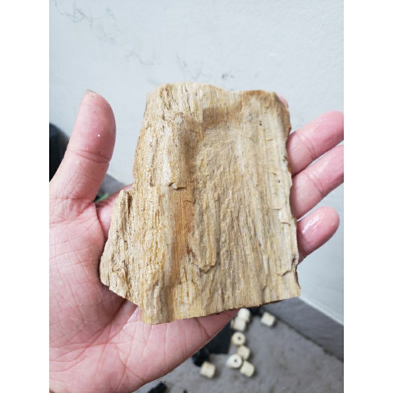 Jual BATU KAYU AQUASCAPE AKUASKAPE AKUASCAPE DIORAMA DIO RAMA HIASAN ...